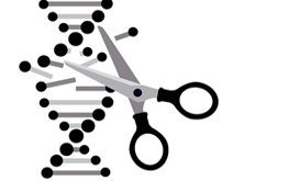 CRISPR patent revoked by the EPO: the whole story made simple